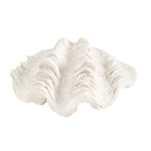 Plaster Double Clam Shell