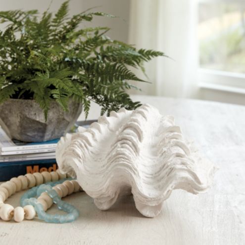 Plaster Double Clam Shell