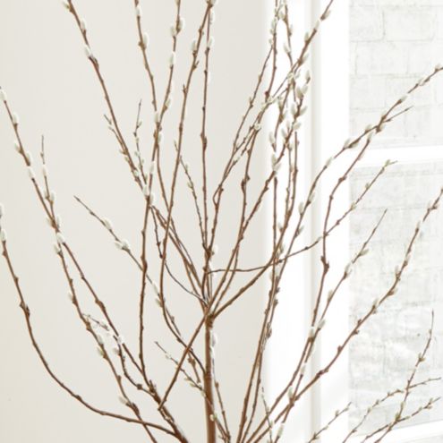 Potted Willow Tree | Ballard Designs