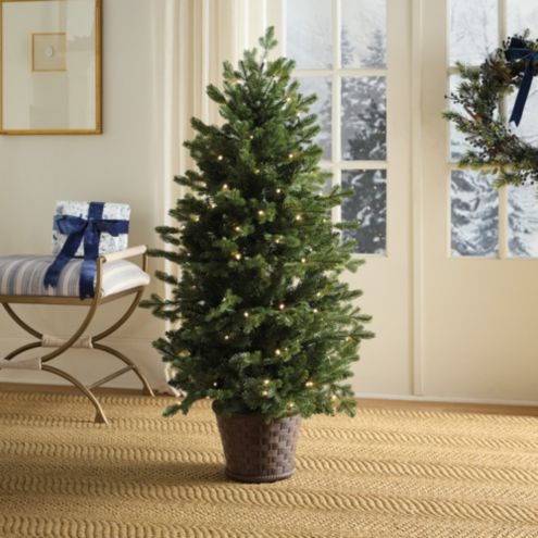 Prelit Potted Balsam Fir Tree with Warm White LED Lights & Cement ...