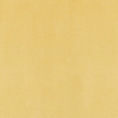 Queens Velvet Yellow Swatch | Ballard Designs
