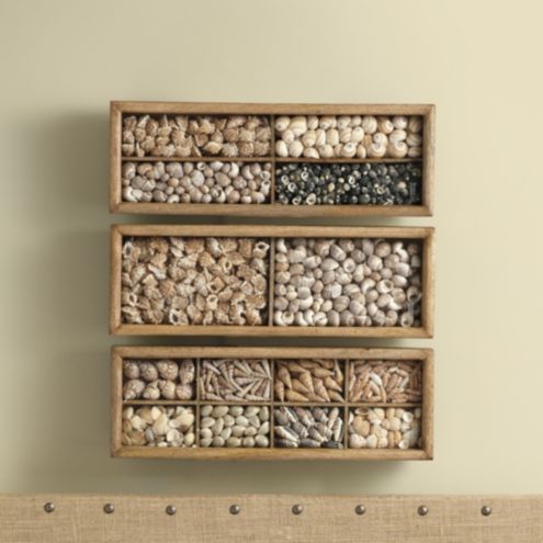 Shell Shadowbox | Ballard Designs