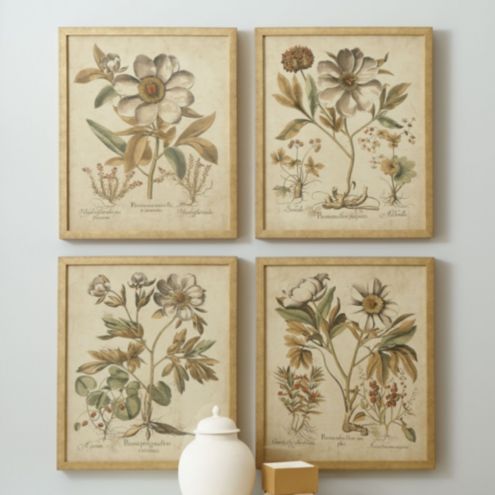 Ivory Peonies Botanical Prints | Ballard Designs