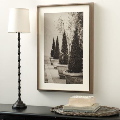 Italian Cypress Photography | Ballard Designs