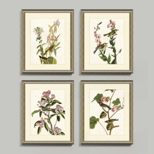 Pink Audubon Bird Art | Ballard Designs