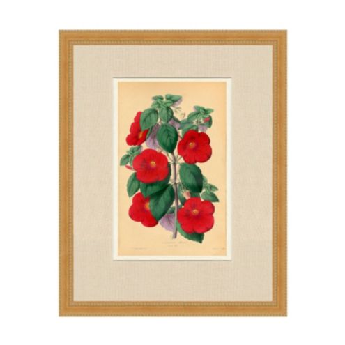 Chapman Original Framed Print #15 | Ballard Designs