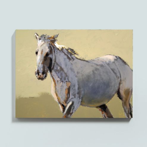 Liam Horse Art | Ballard Designs
