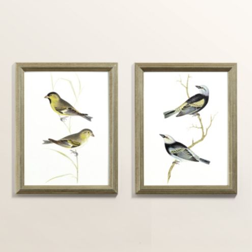 Petite Two Birds Art - Set of 2 | Ballard Designs