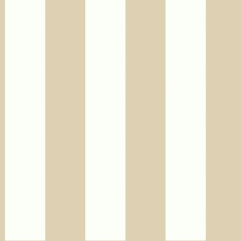 Canopy Stripe Wallpaper Double Roll | Ballard Designs