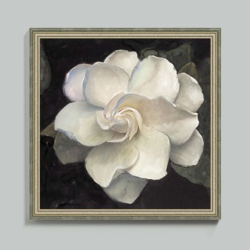 Midnight in the Garden Framed Print | Ballard Designs