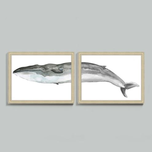 Fin Whale Diptych | Ballard Designs