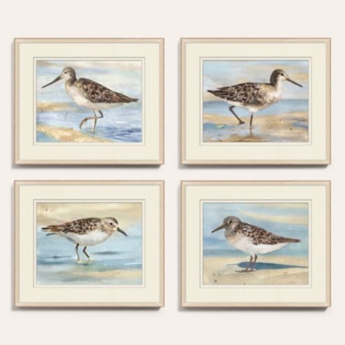 Shore Bird Art Print
