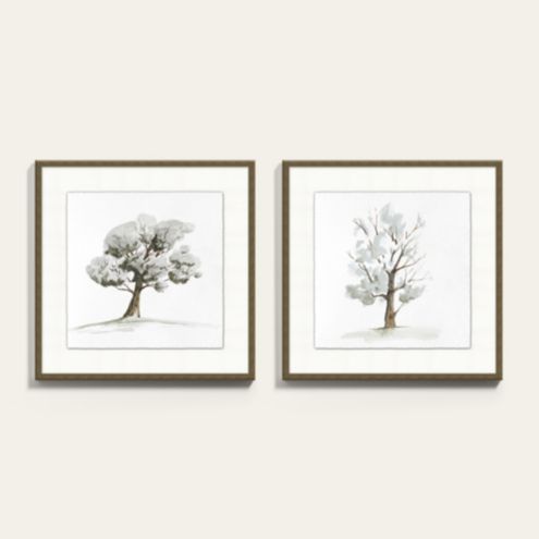 Park Tree Framed Art Prints Series