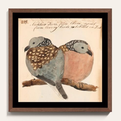 Necklace Doves Framed Print with Walnut Wood Frame & Fine Art Paper